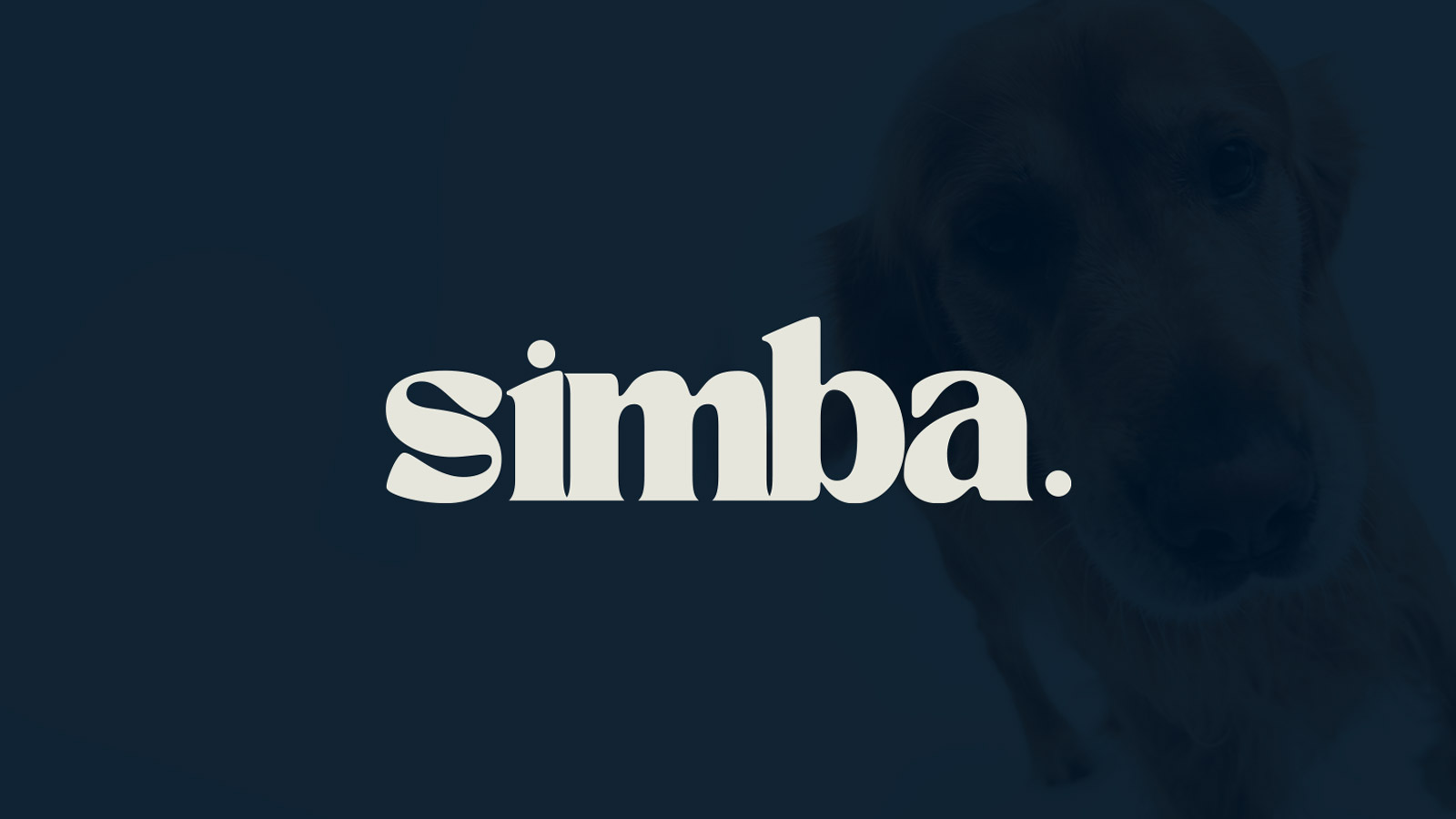 Contact - Simba Agency